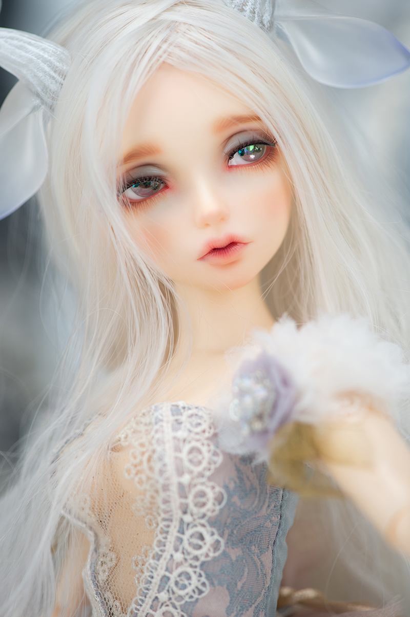 FairyLine Dina(Doe) basic – CP/FairyLand Japan