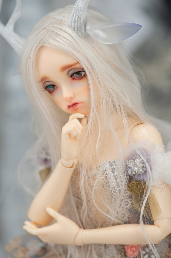 FairyLine Dina Full Package (Doe) – CP/FairyLand Japan
